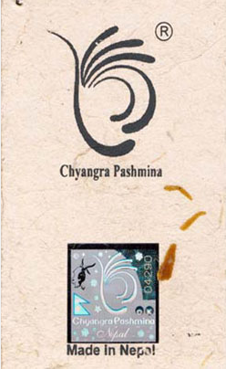 Pashmina Paragon – What Makes Our Cashmere Designs Unique!